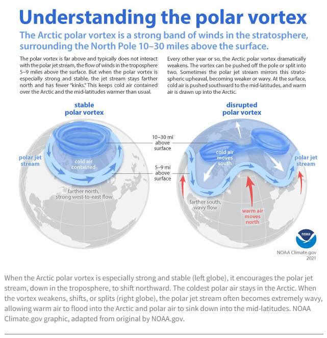 Climate emergency? The true peril is information deficit disorder ...